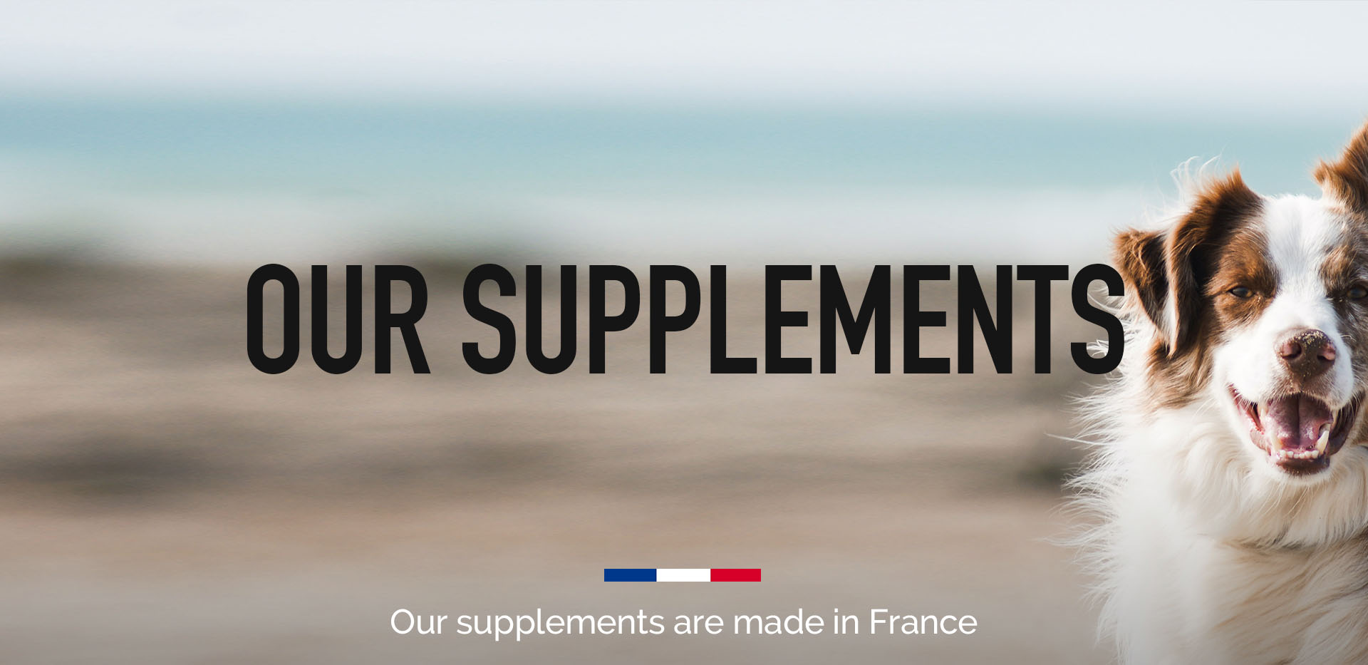 Our supplements - PROTEAM NUTRITION
