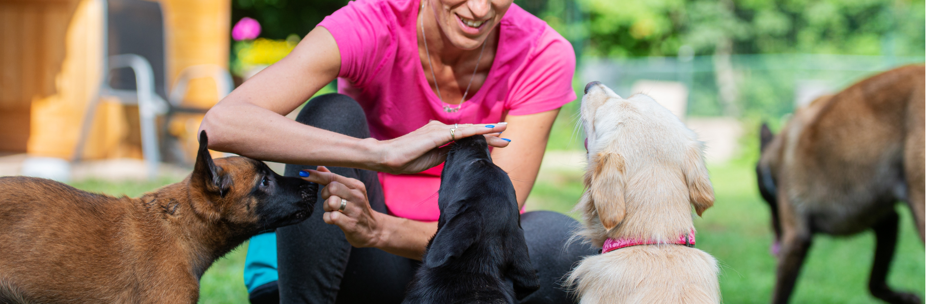 The work of a cynophile - PROTEAM NUTRITION