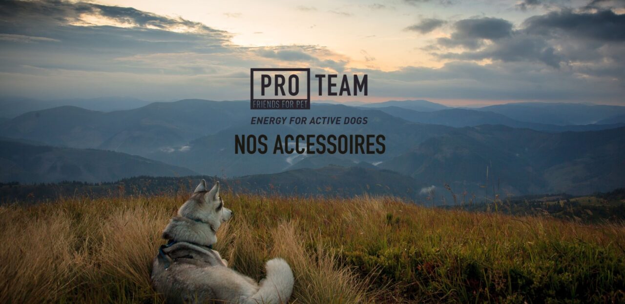 Nos accessoires - PROTEAM NUTRITION